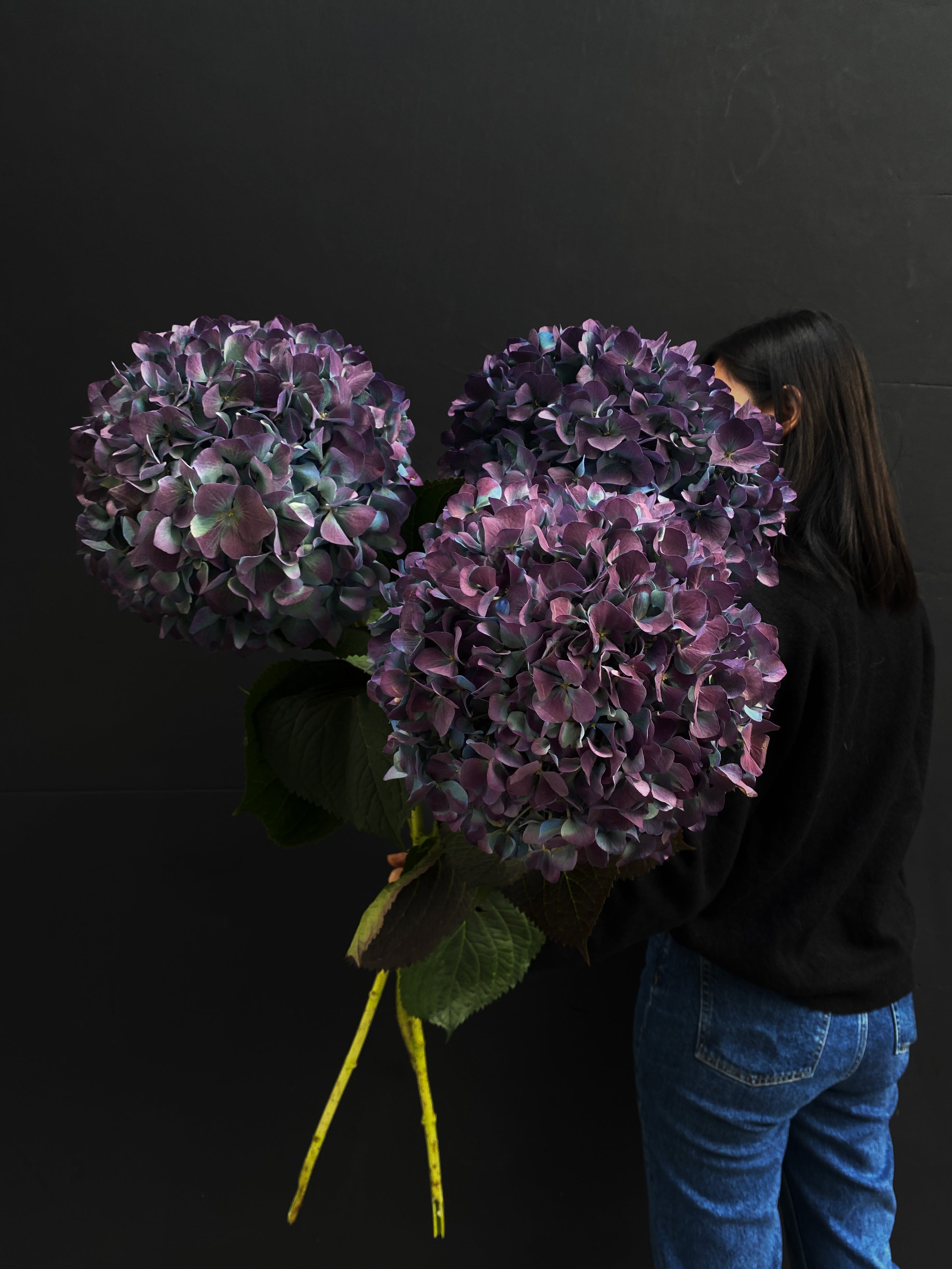 Flowers – Urban Flower Co